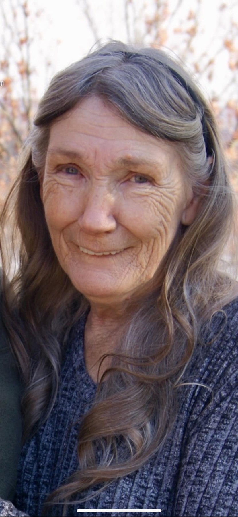 Patricia Gail Chrisco Obituary - Arnold, MO