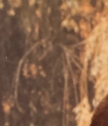 Gretha Leen Lewter Obituary - Apex, NC Gretha Leen Lewter Obituary - Apex, NC