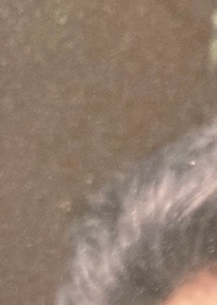 Eugenio E. Morales Obituary - El Paso, TX Eugenio E. Morales Obituary - El Paso, TX