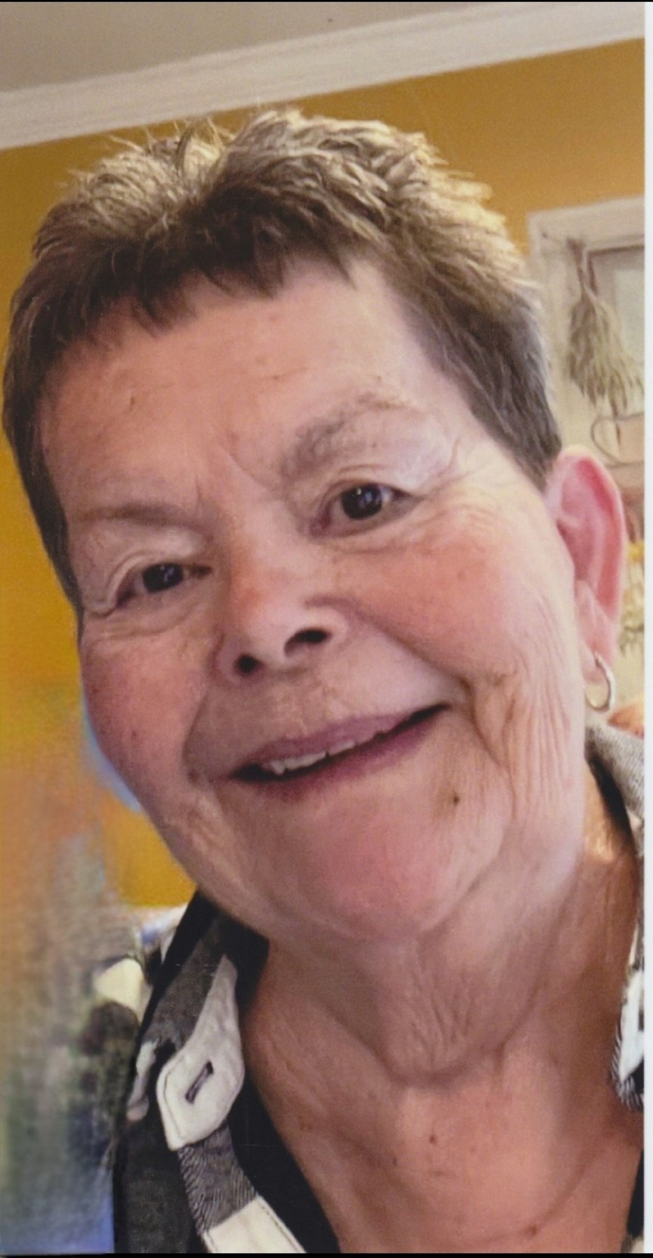 Donna Ziegler Obituary - Bel Air, MD