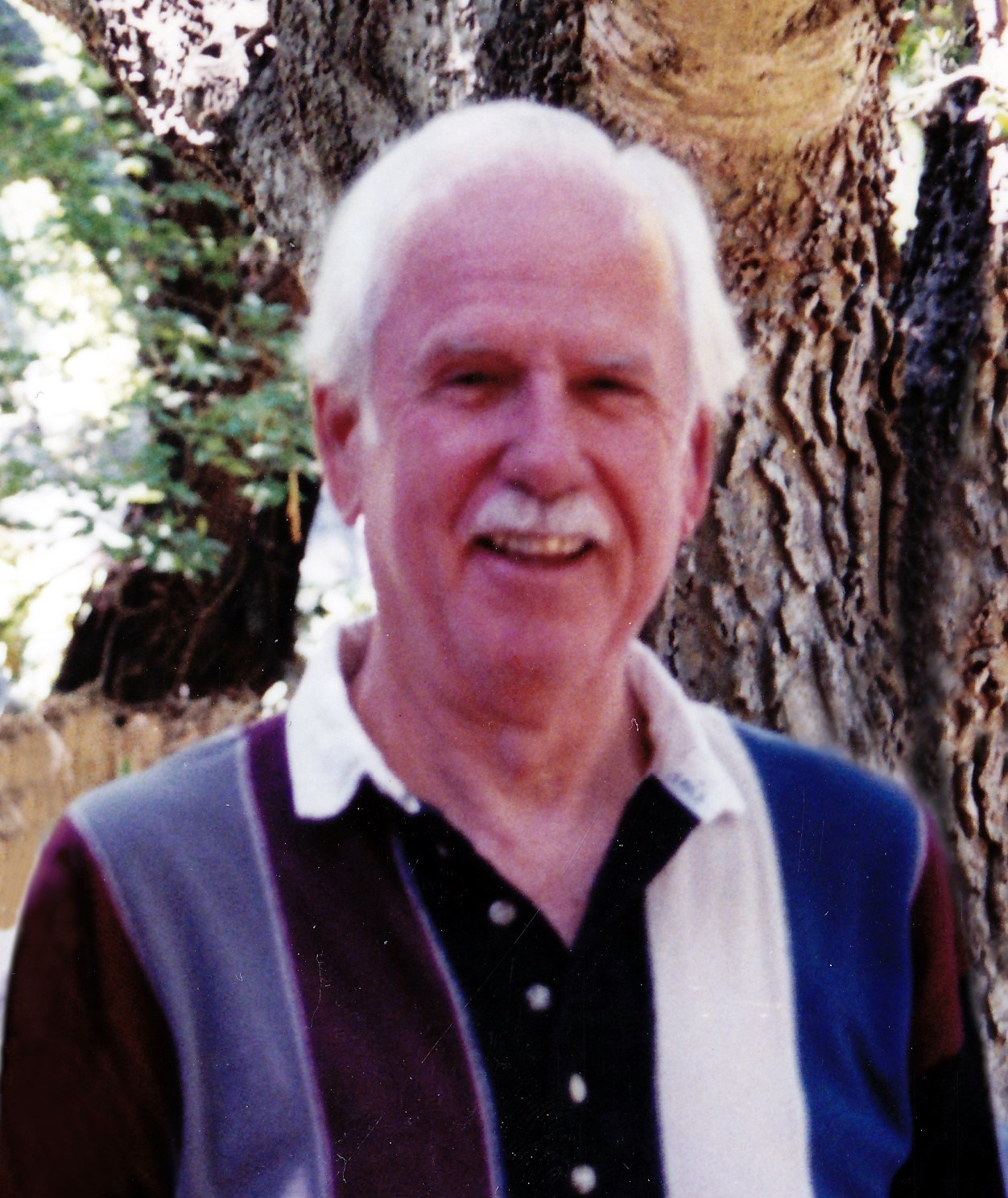 Lewis Franklin Scoggins Obituary - Austin, TX
