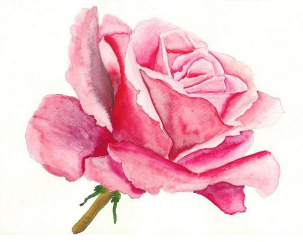 Angela Lundy Obituary - St. Catharines, ON