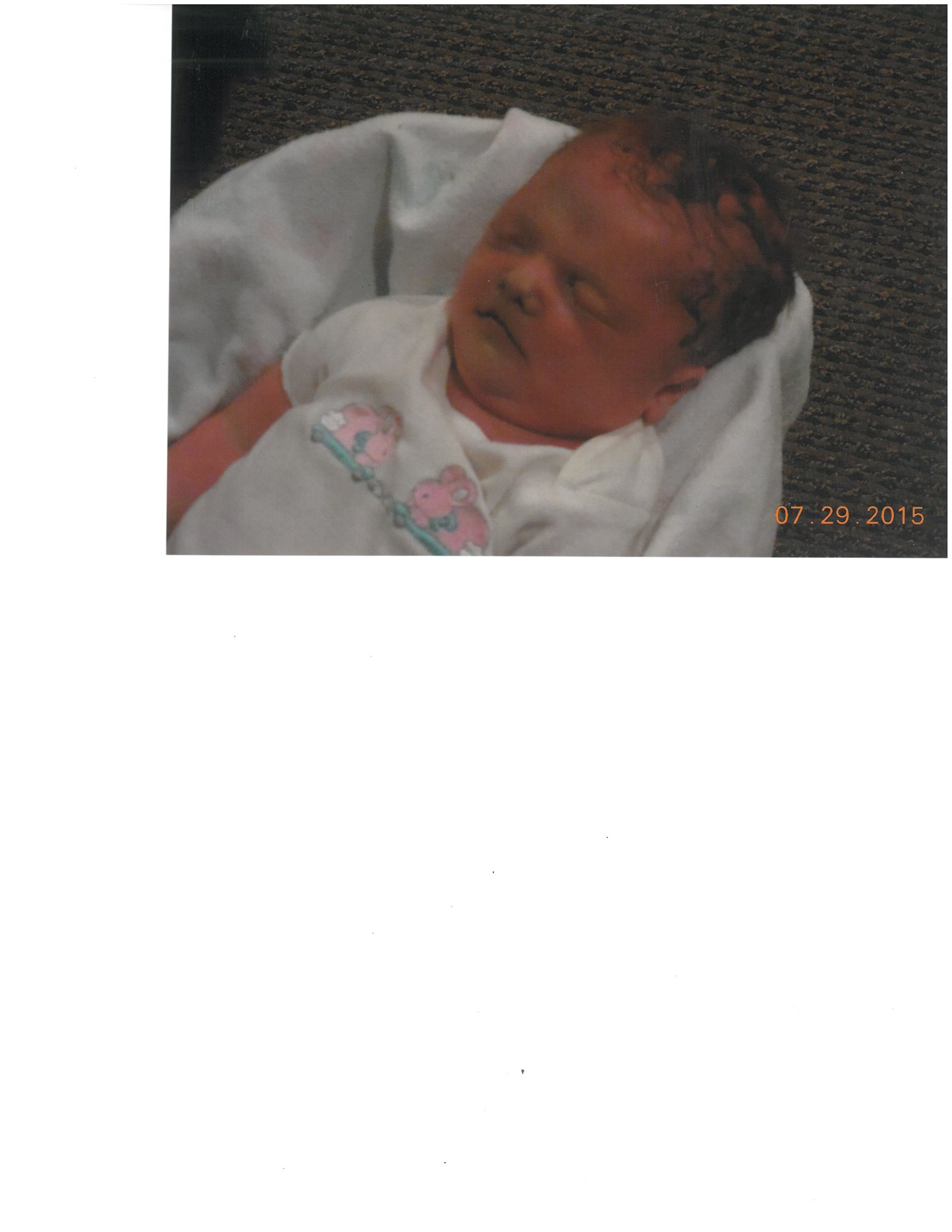 Daisy Nowlen Obituary - Wheat Ridge, CO