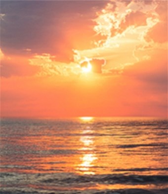 Steven J Davis Obituary - Wailuku, HI