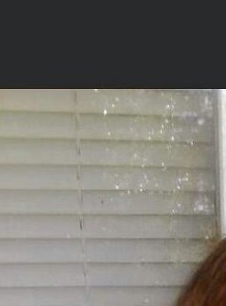 Jennifer Kleckner Obituary - Columbus, GA Jennifer Kleckner Obituary - Columbus, GA