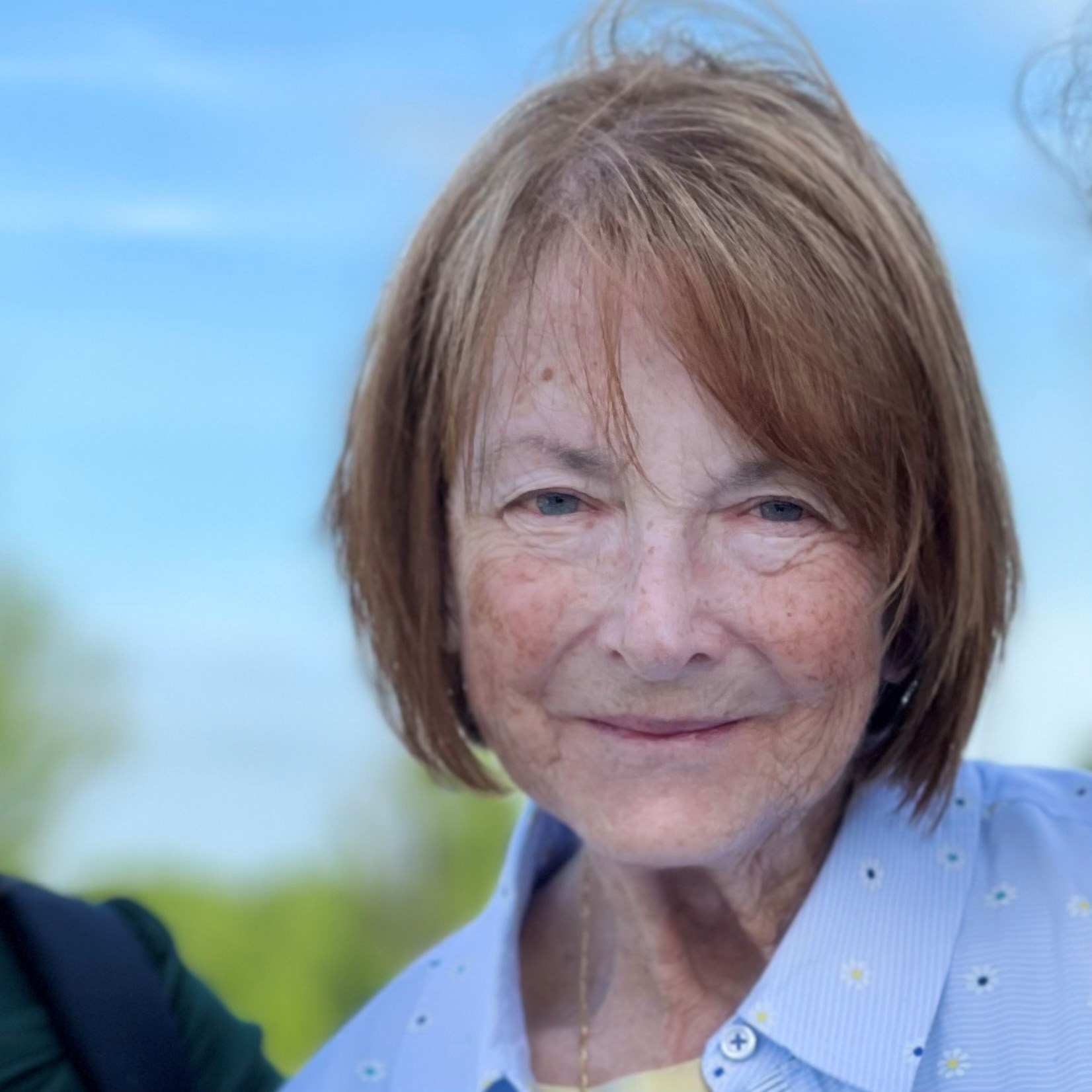 Carol Elizabeth (Cheek) Alton Obituary - Annapolis, MD