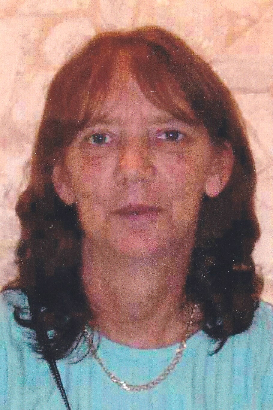 Susan Mann Obituary - Clinton Township, MI