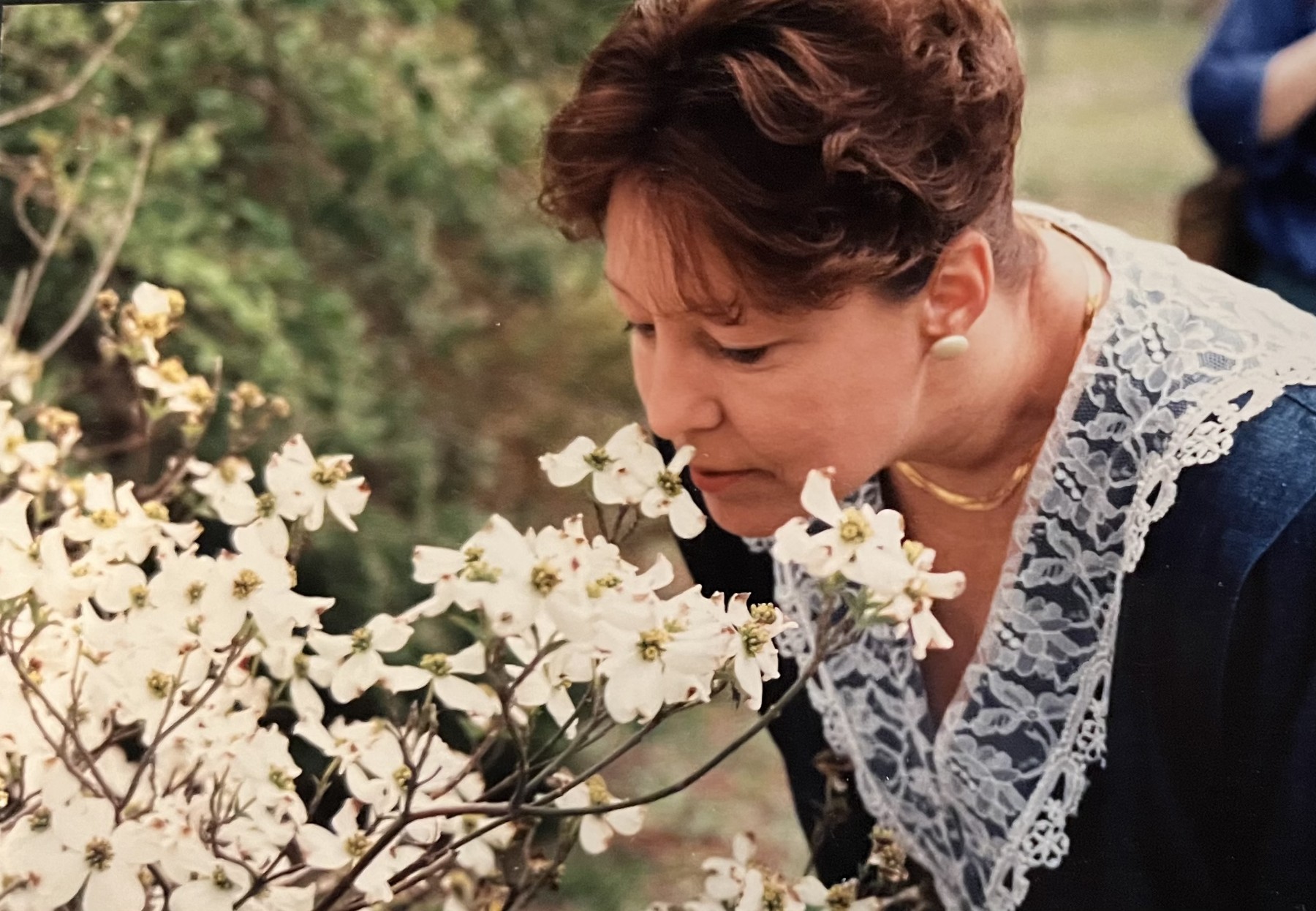 Wanda Adams Obituary - Wichita, KS