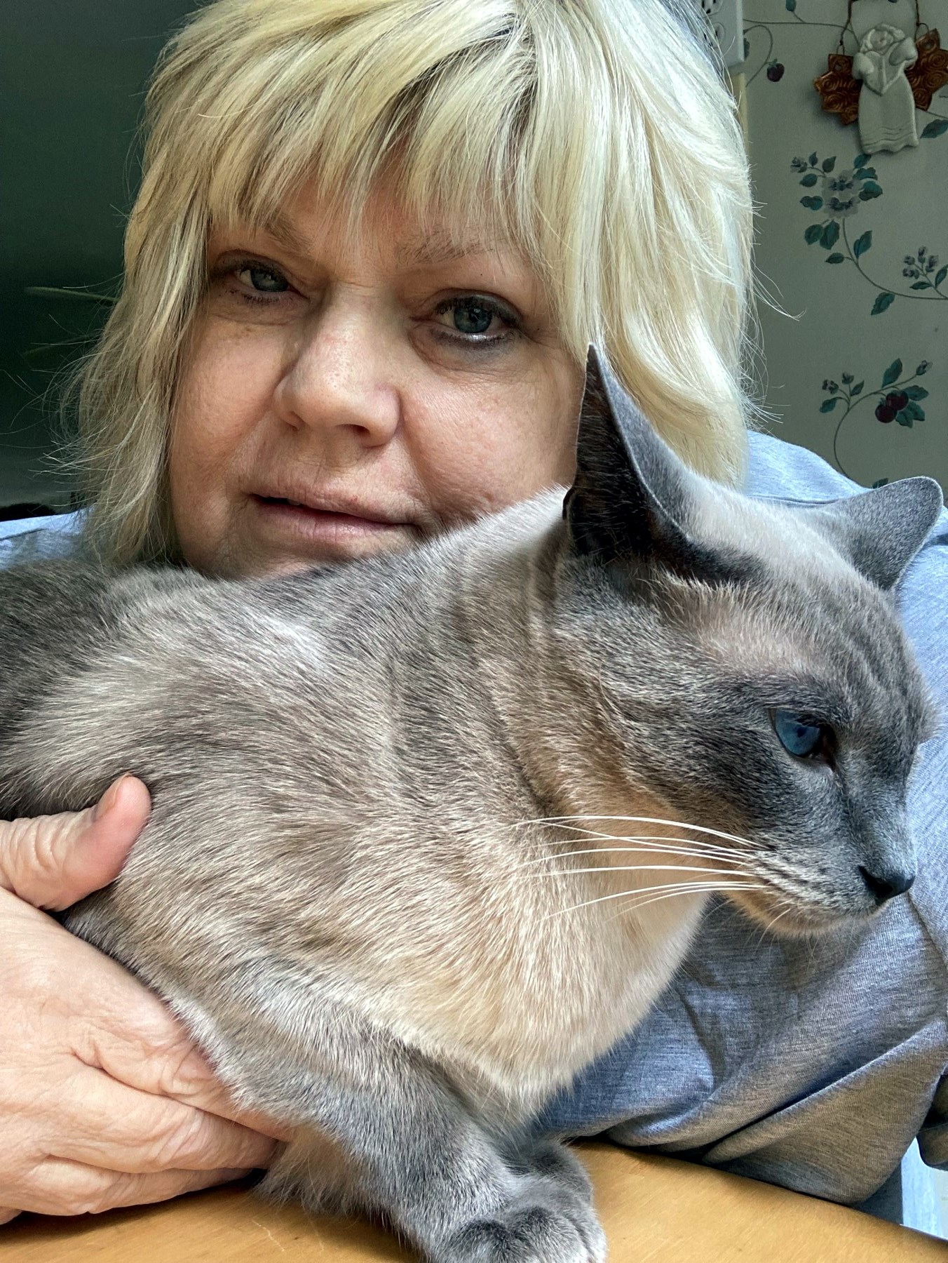 Susan Hayes Obituary - Tallahassee, FL