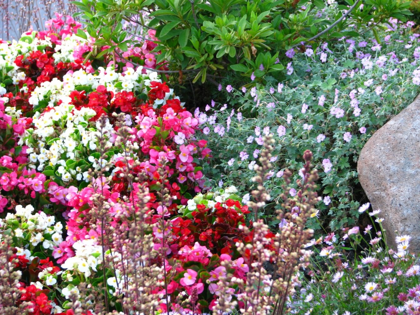 Ruth Dillon Obituary - Hanford, CA