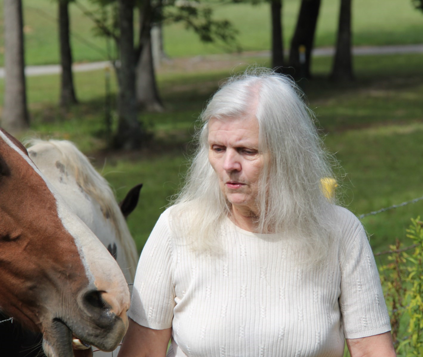 Marilyn Adams Obituary - Knoxville, TN
