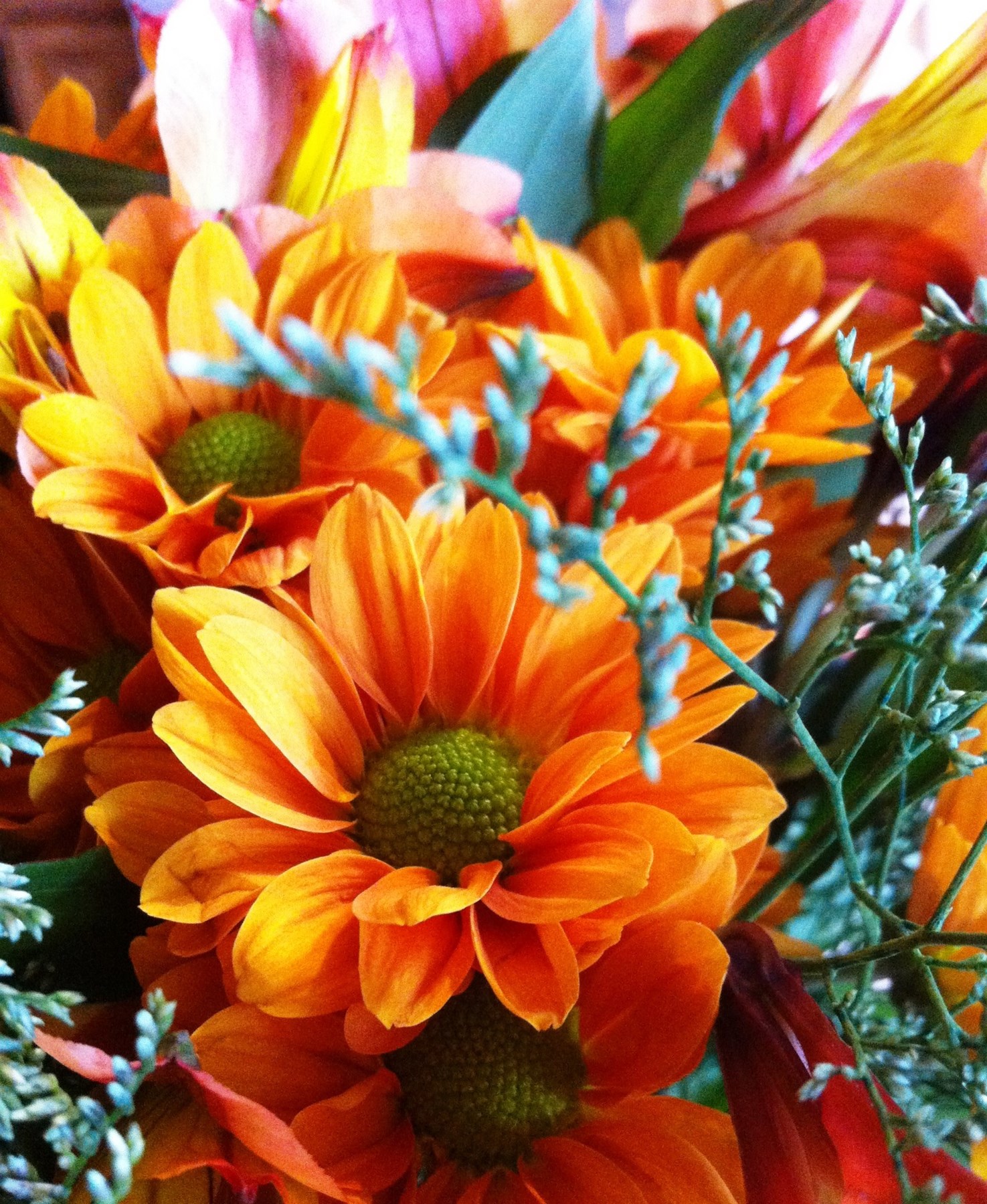 Viola Moss-Phillips Obituary - Fort Wayne, IN