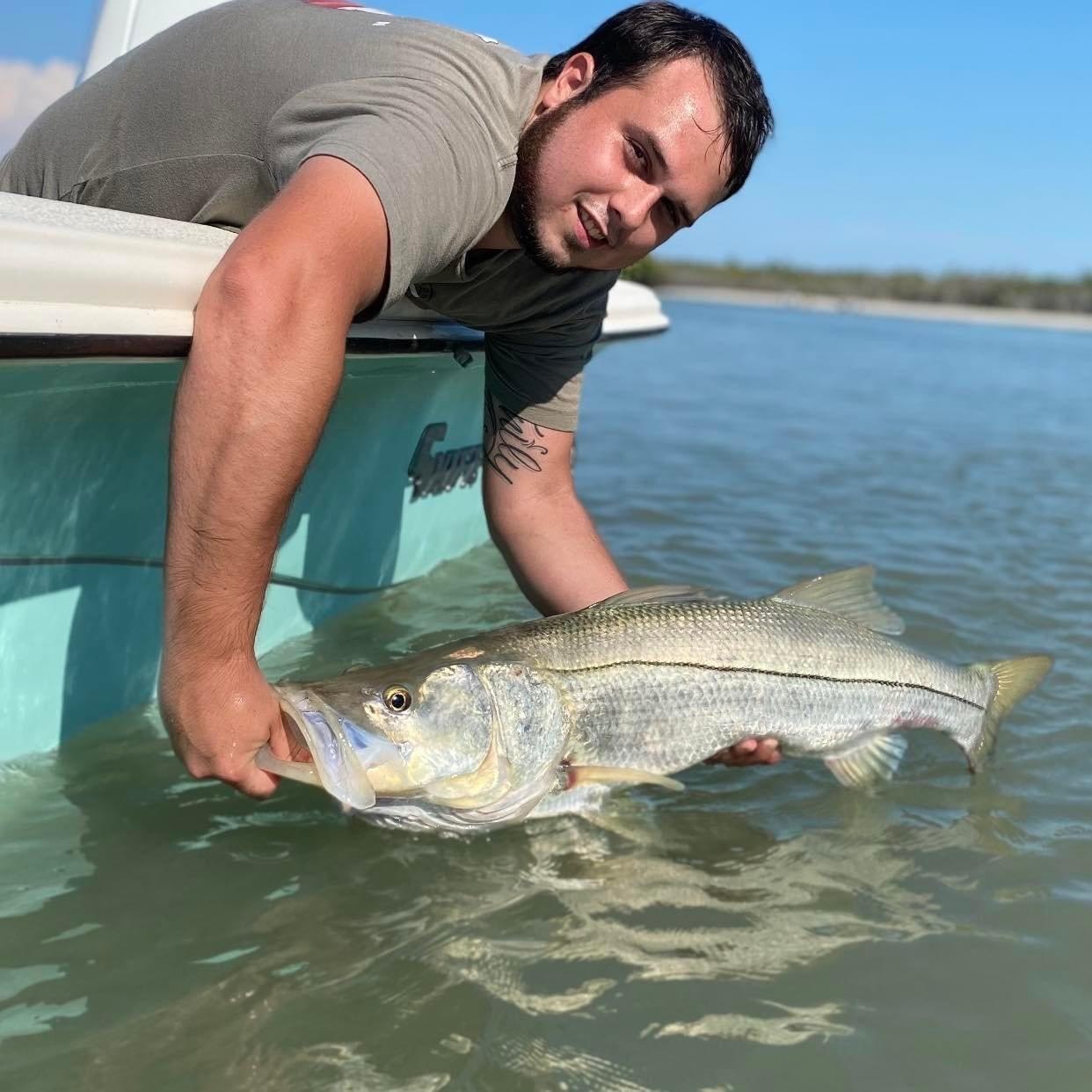 Alexander James Forester Obituary - Naples, FL