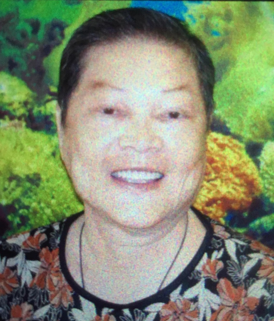 Shirong Wan Obituary - Honolulu, HI
