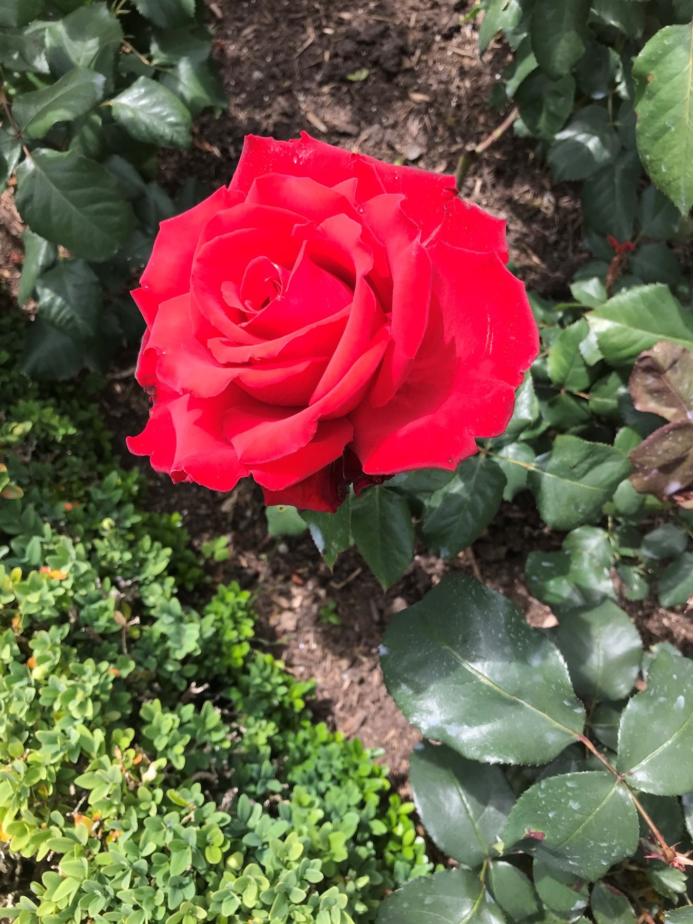 Noelle O'Soup Obituary - Vancouver, BC