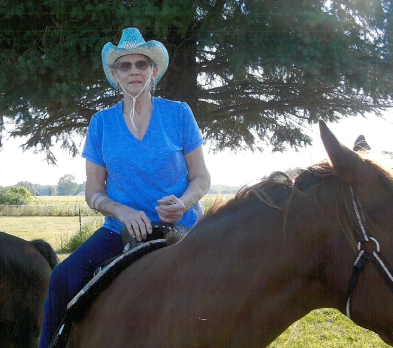 Georgia Poest Obituary - Holland, MI