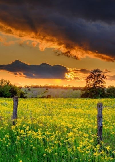 Billie Bates avis de décès - Dallas, TX