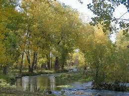 Catherine Manis Obituary - Niagara Falls, ON