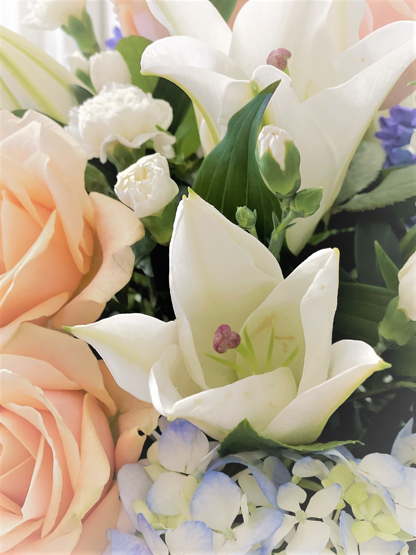 Susie Siu Fong Chan Obituario - Vancouver, BC