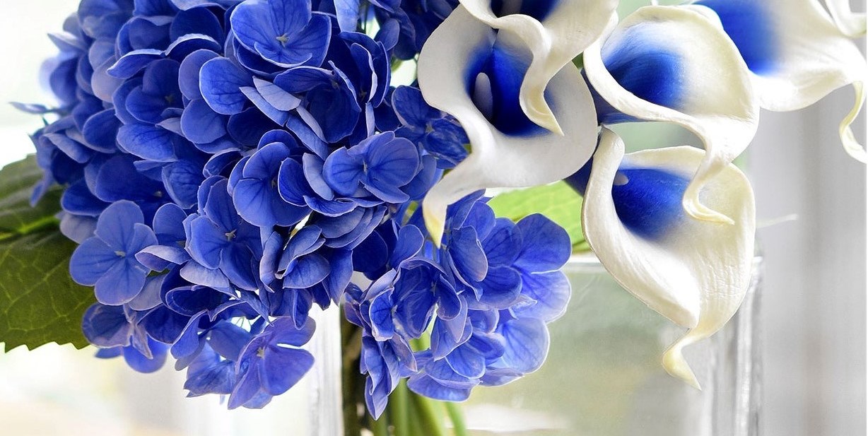 Rebecca Lewis Obituary - Macon, GA