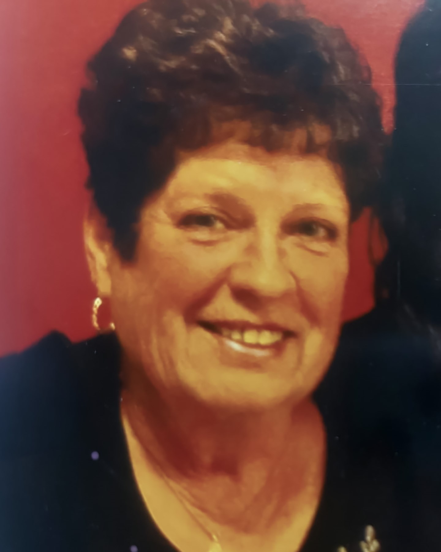Susan Peters Obituary - Cambridge, ON