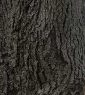 Faye Brabant Obituary - Fall River, MA Faye Brabant Obituary - Fall River, MA
