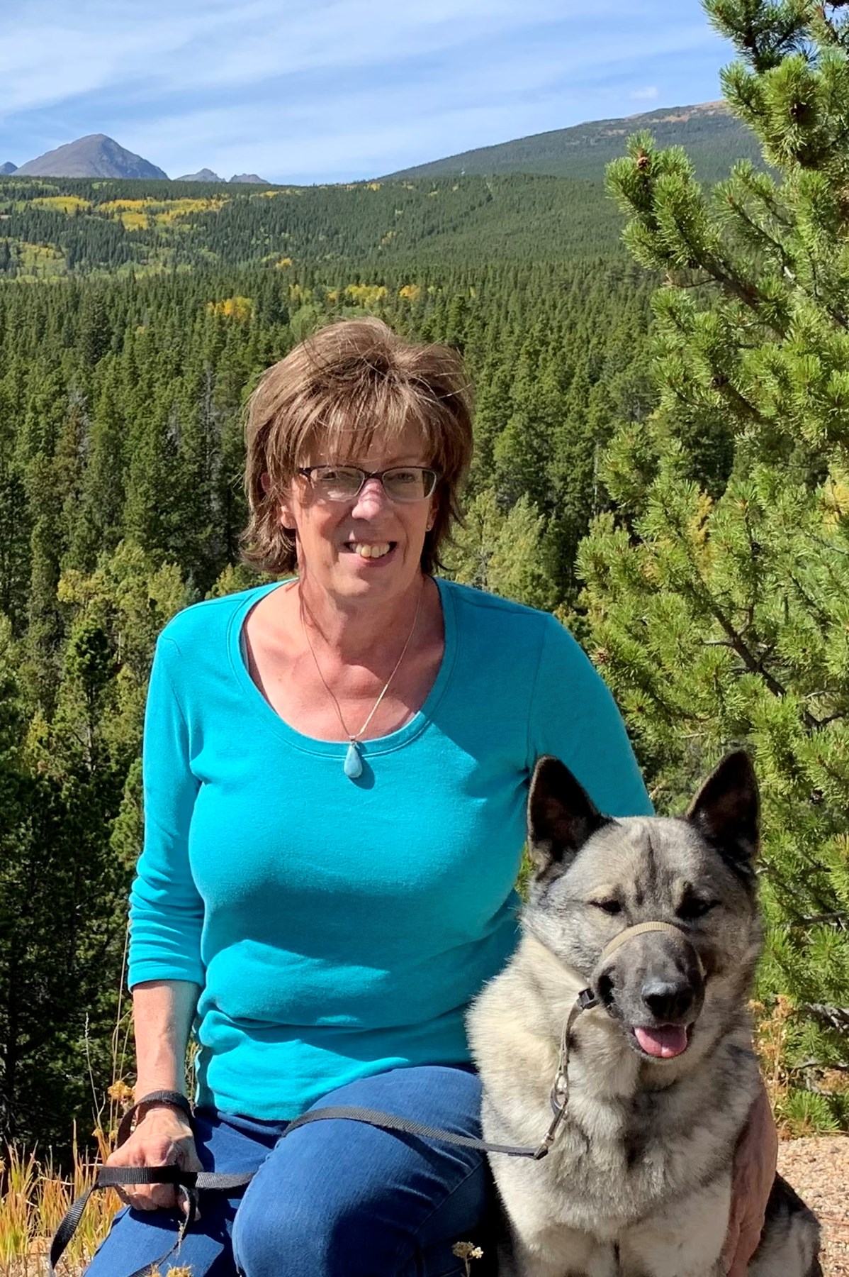 Sue Hamilton Obituary - Longmont, CO