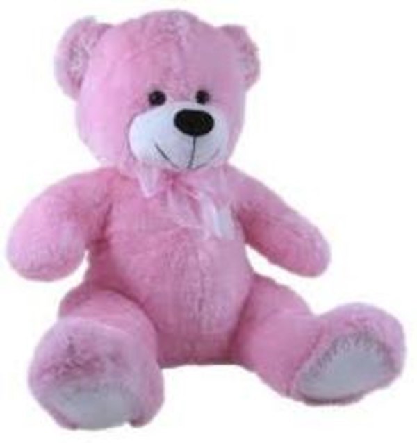 Nicoletta Doto-Cooper Obituary - Levittown, PA