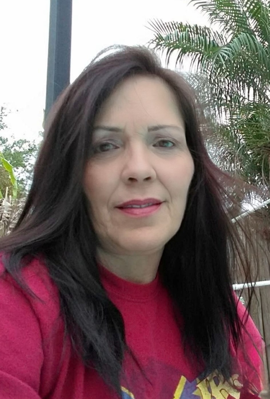 Susan Harrison Obituary - Winter Garden, FL