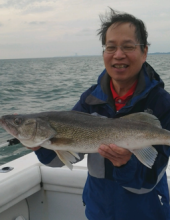 David Tan Obituary - Arlington Heights, IL