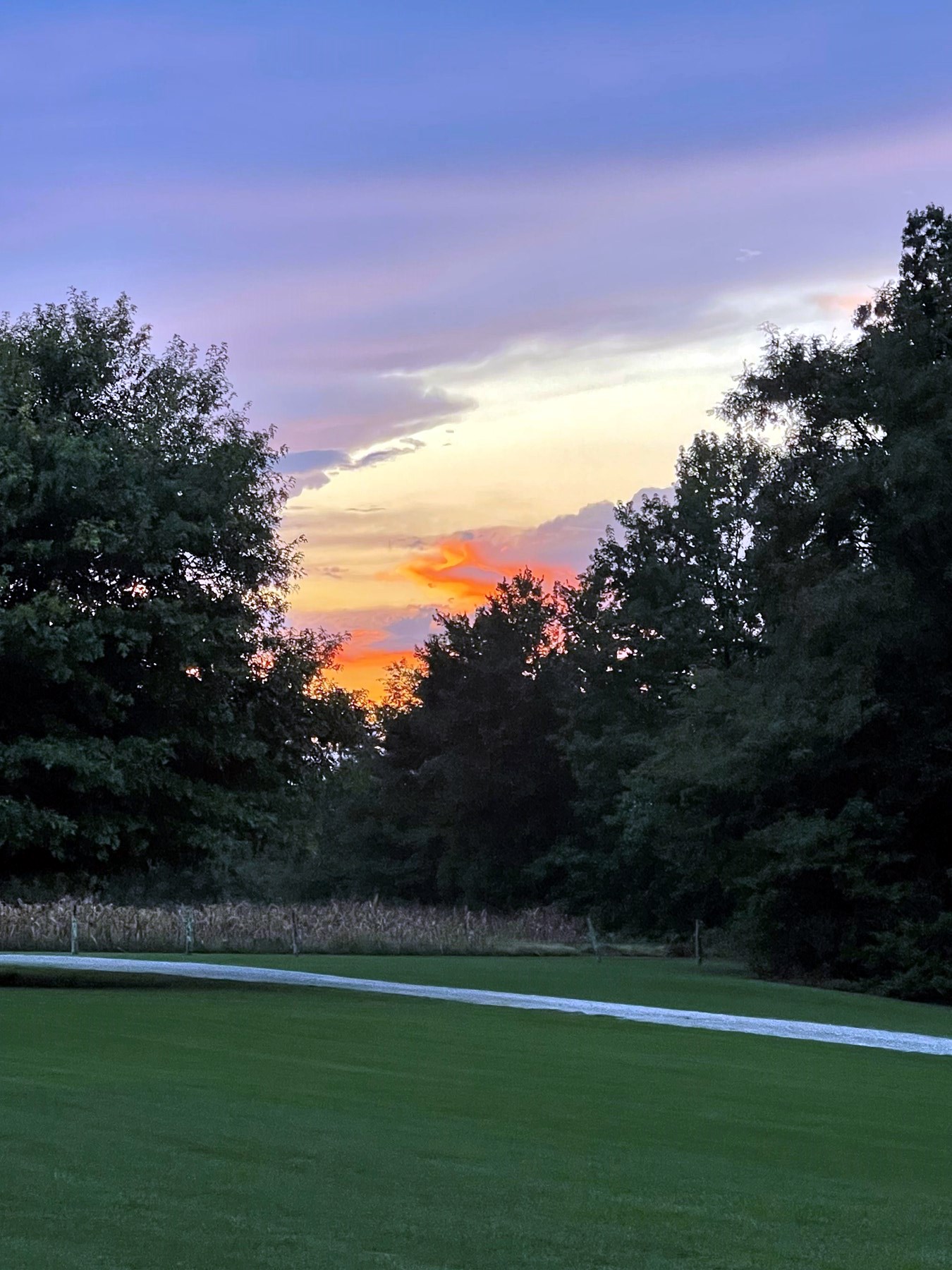 Patricia Baker Obituary - Olive Branch, MS