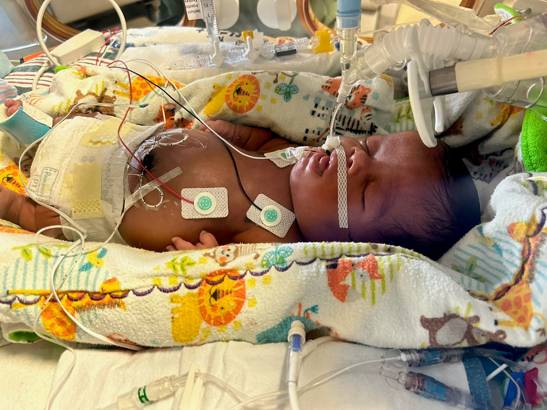 Brandon Tripp Obituary - Grand Blanc, MI