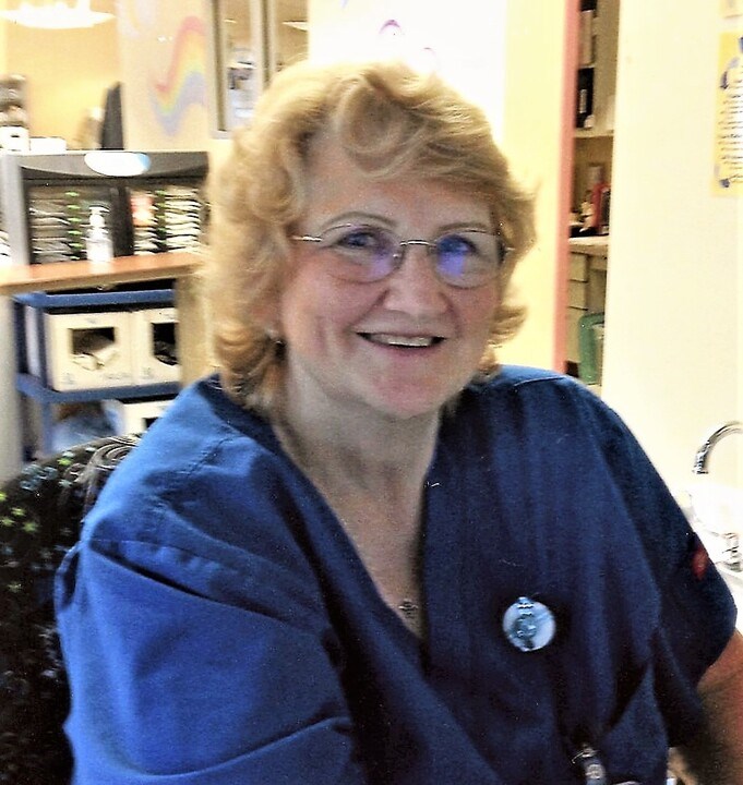 Anne Seiler Obituary - Williamsville, NY