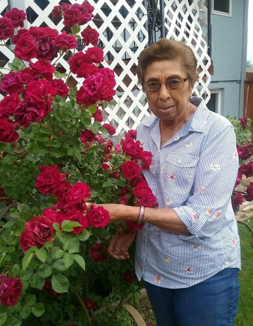 Bernice A. Cruz Obituary - Pueblo, CO