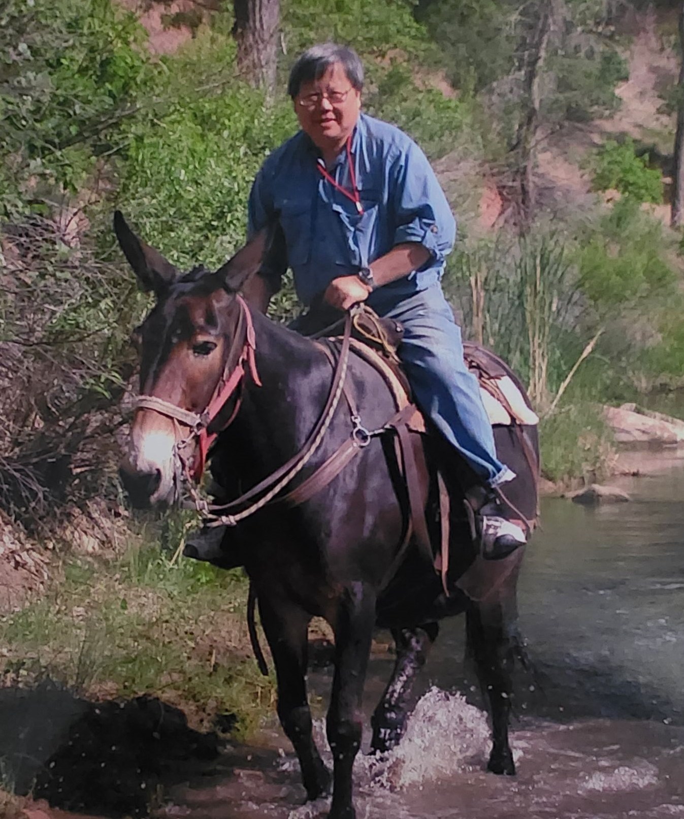 Larry Yip M.D. Obituary - Corona Del Mar, CA