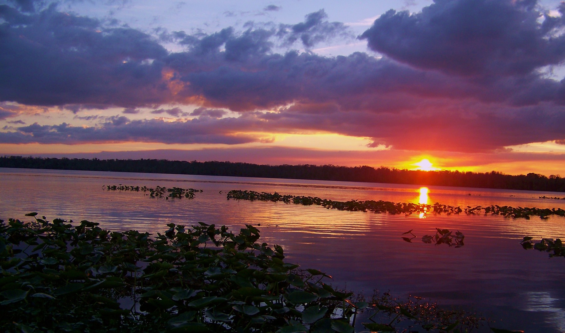 Thomas Mathews Obituary - Jacksonville, FL