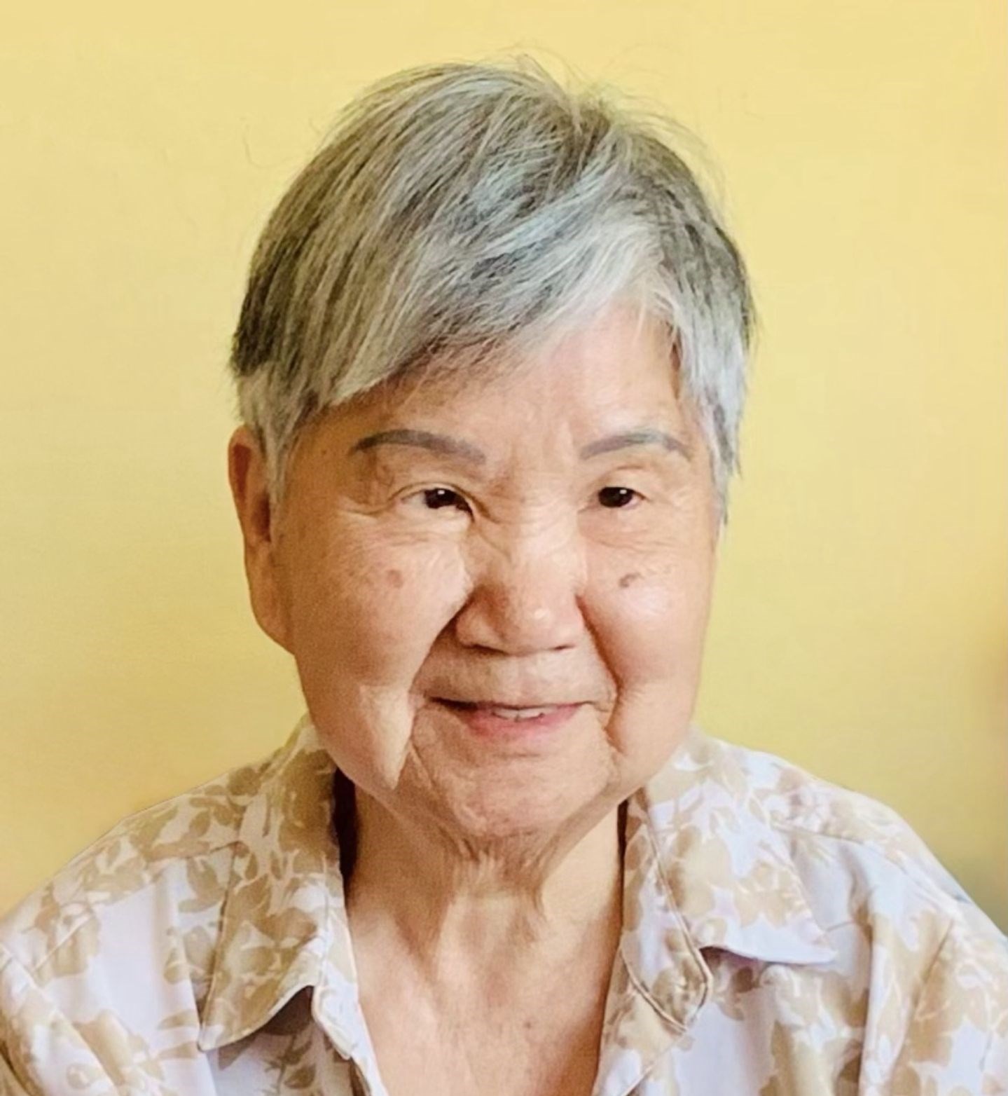 Anh Luong Obituary - San Jose, CA