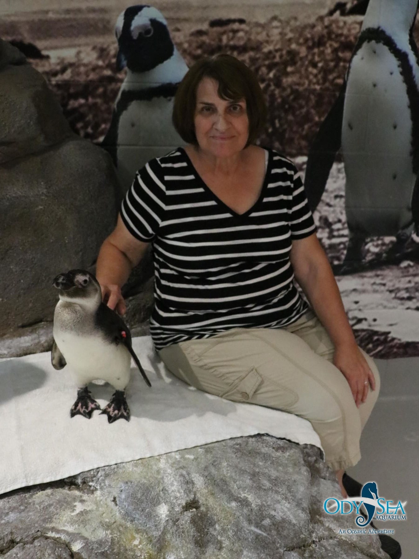 Mary Danner Obituary - Chandler, AZ