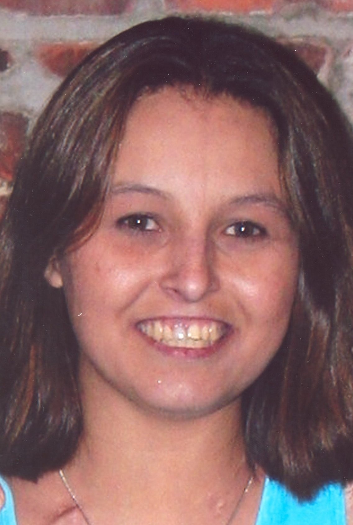 Lisa Wollenberg Obituary - Oak Lawn, IL