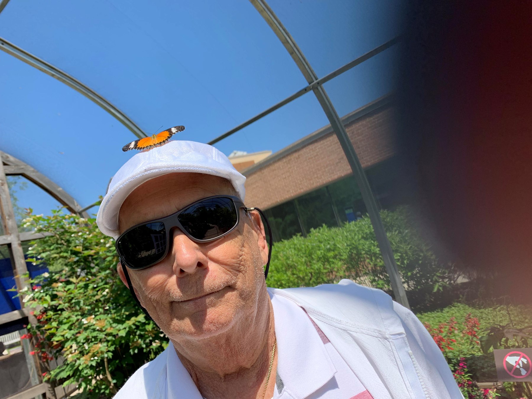 Joseph Tomaso's Instagram, Twitter & Facebook on IDCrawl