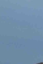 Richard D Scarborough Obituary Tampa Fl