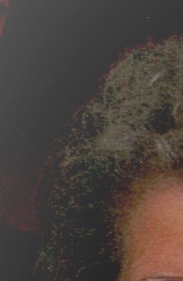 Freda Mae Bussa Obituary - Brooksville, FL Freda Mae Bussa Obituary - Brooksville, FL